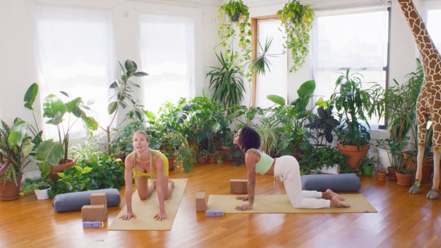 Secuencia Simple – Manduka EU